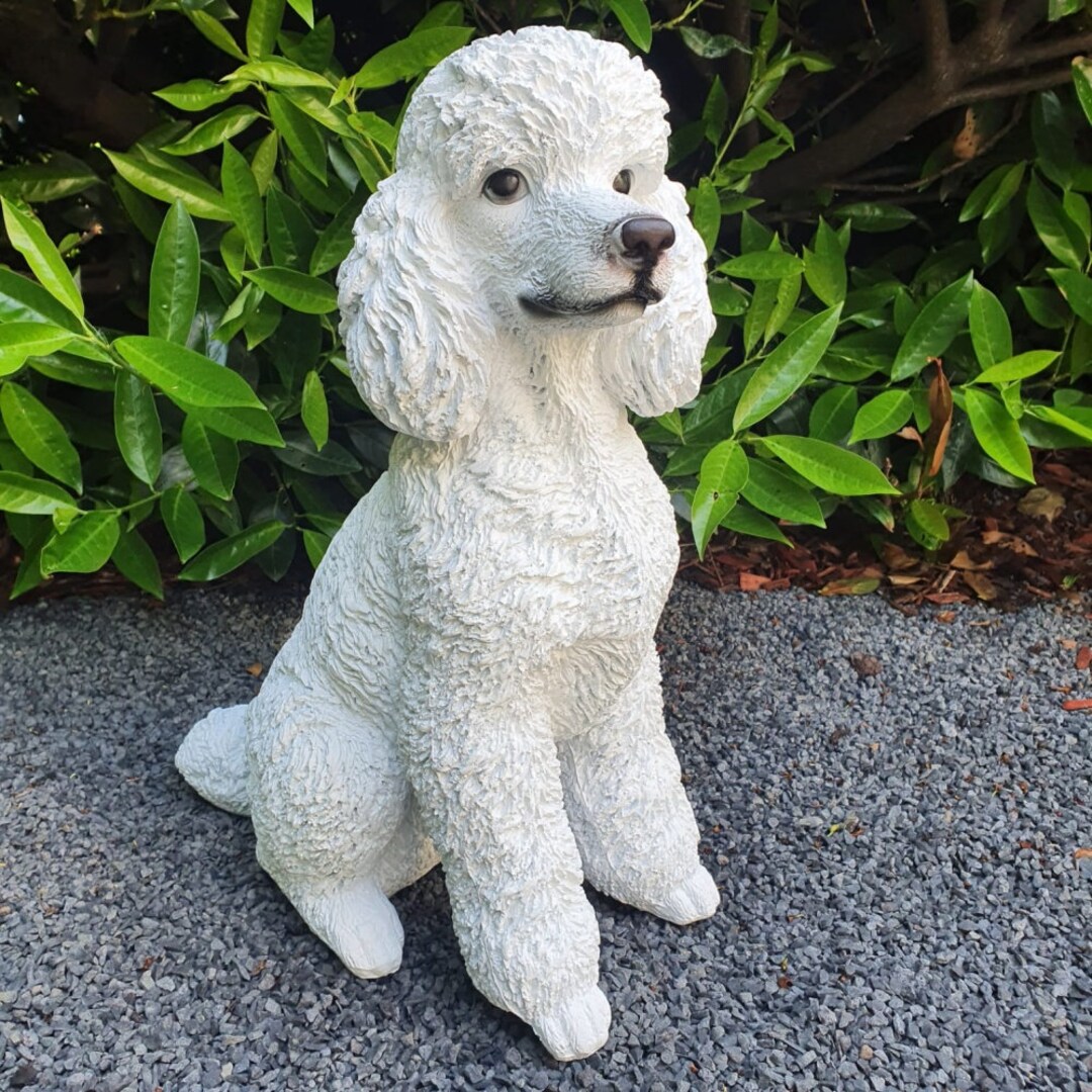 Garden Figure White Poodle Figure Sitting 48 Cm - Etsy