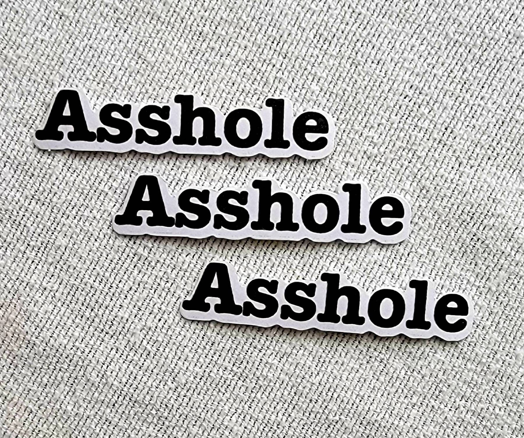 Swear Word Sticker Pack Curse Word Sticker Pack Pack of 8 | Etsy