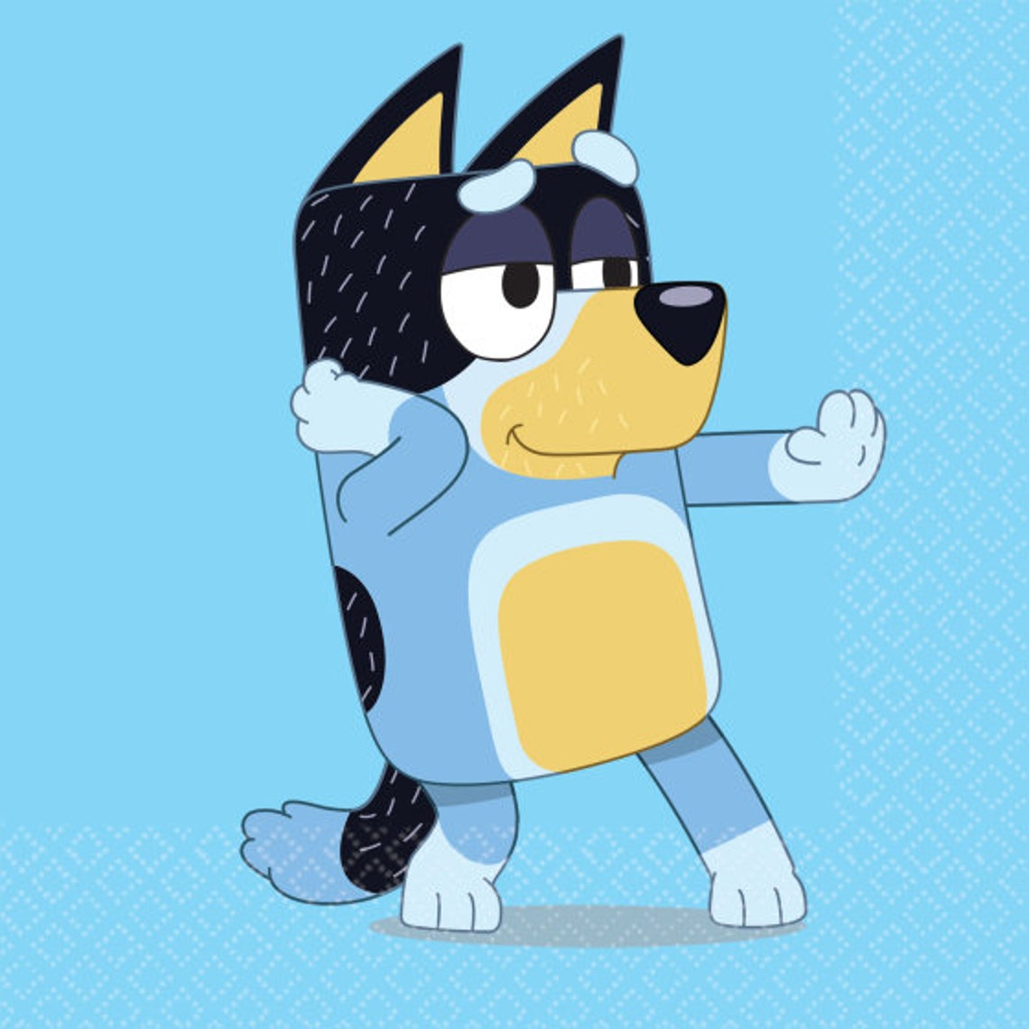 Bluey Theme Table Kids Birthday Decoration Party Pack Supplies | Etsy