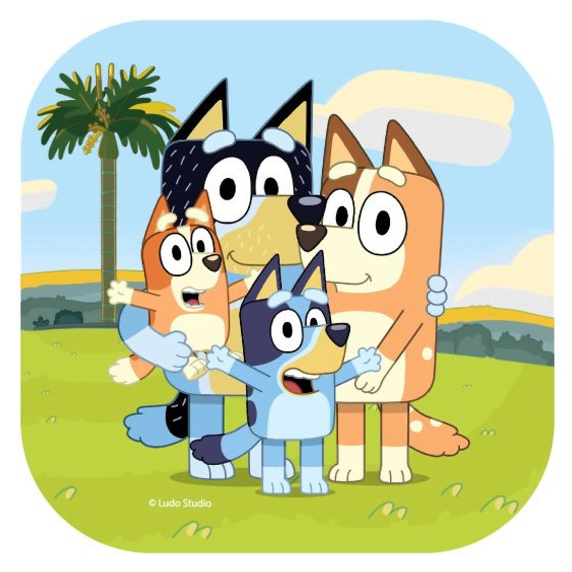 Bluey Theme Table Kids Birthday Decoration Party Pack Supplies | Etsy