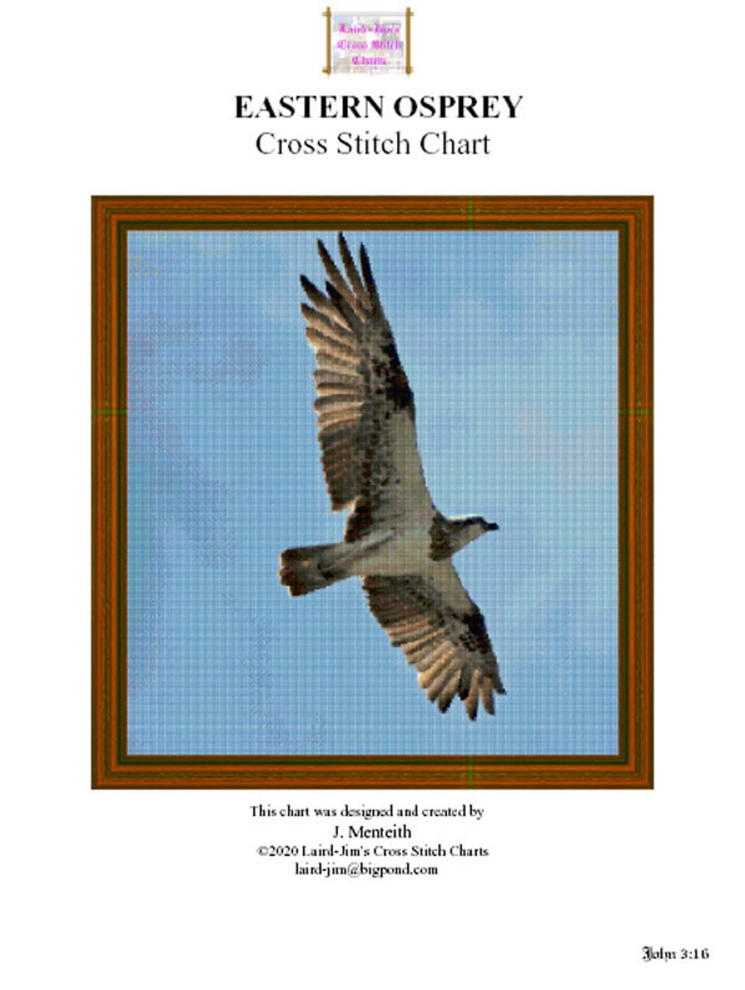 EASTERN OSPREY - Cross Stitch Chart - Etsy
