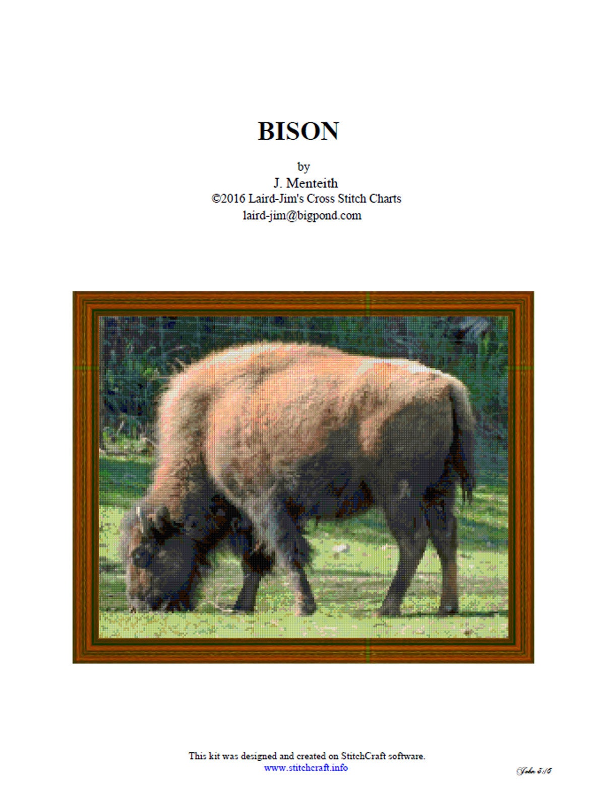 BISON- Cross Stitch Chart - Etsy