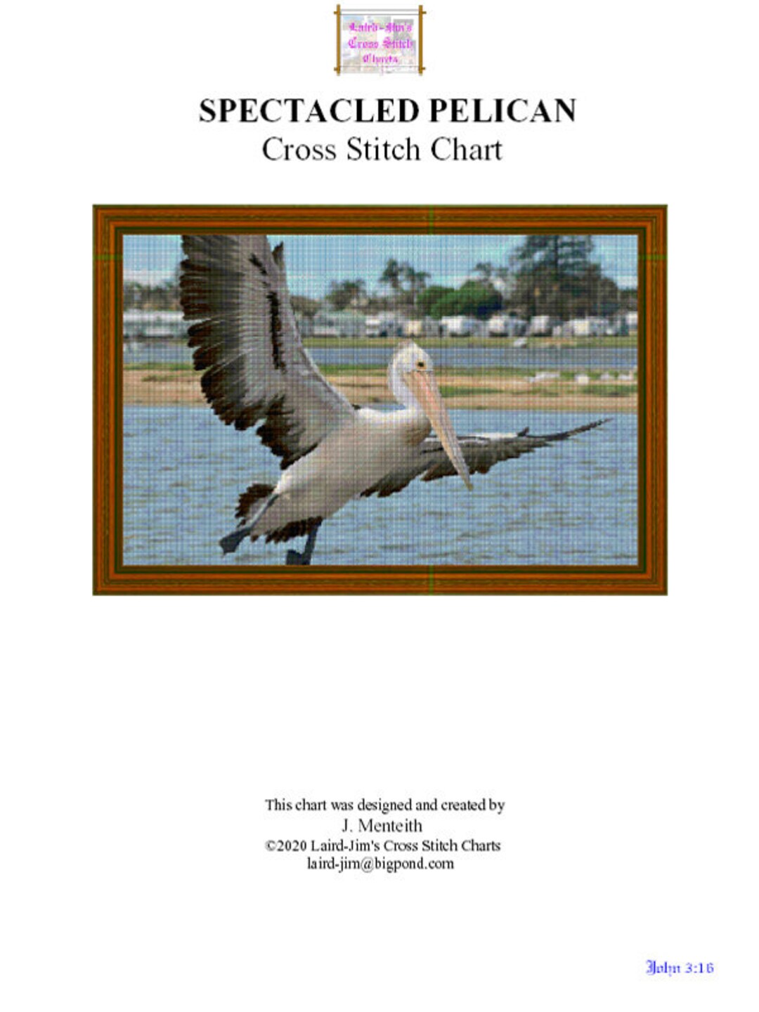 Spectacled Pelican Cross Stitch Chart Etsy
