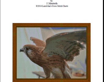 Bat Falcon Cross Stitch Pattern, Bird of Prey Patterns, Predatory Birds ...