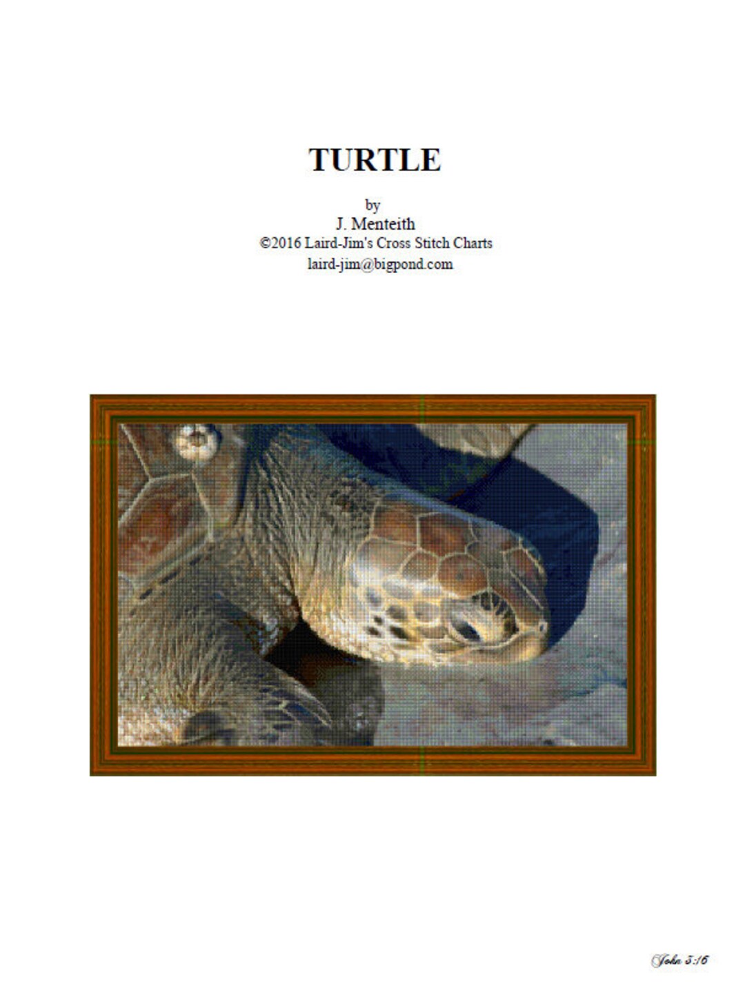 TURTLE - Cross Stitch Chart - Etsy