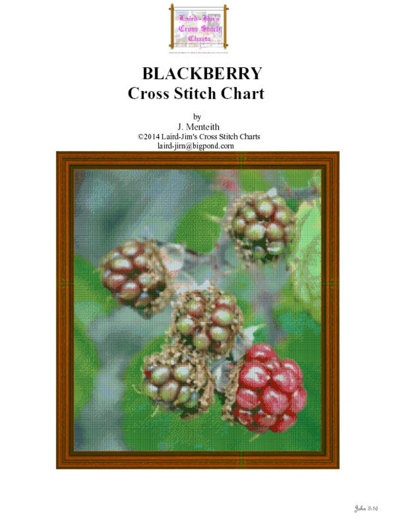 BLACKBERRY - Cross Stitch Chart - Etsy