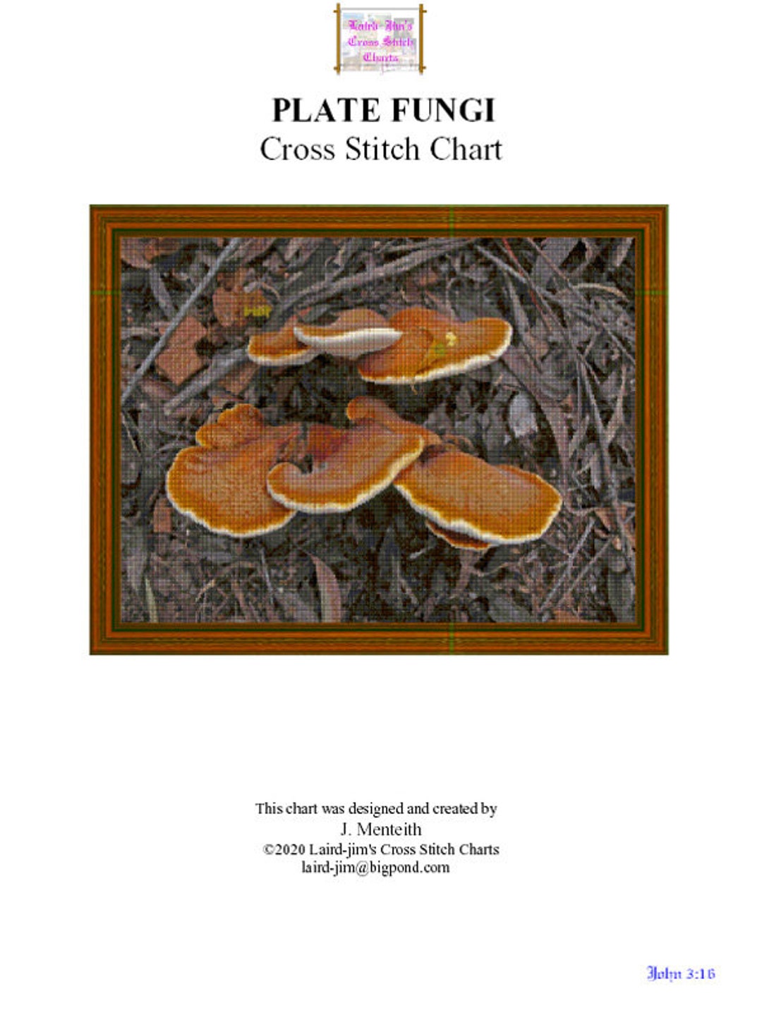 PLATE FUNGI - Cross Stitch Chart - Etsy