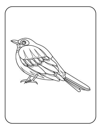 130+ Fish and Bird Coloring Pages BUNDLE! More Than 20% off Separate ...