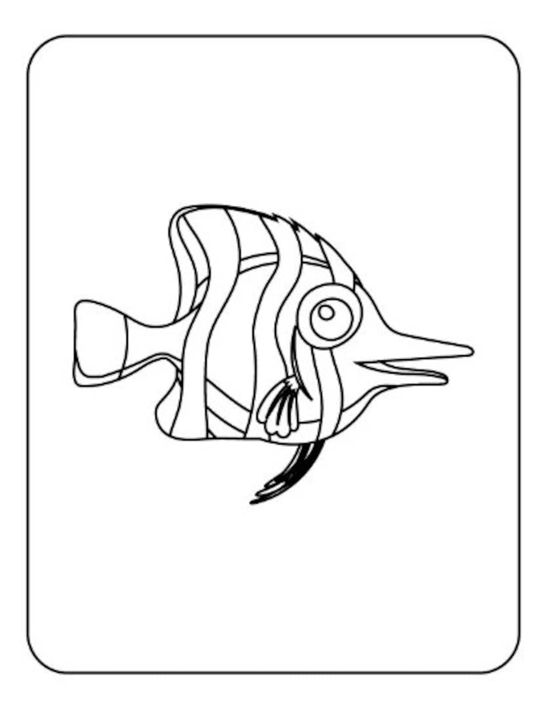 130+ Fish and Bird Coloring Pages BUNDLE! More Than 20% off Separate ...