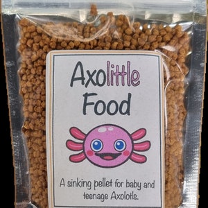 Axolotl Tank Kit Full Aquarium Set up 60cm. Price Includes Delivery! - Etsy