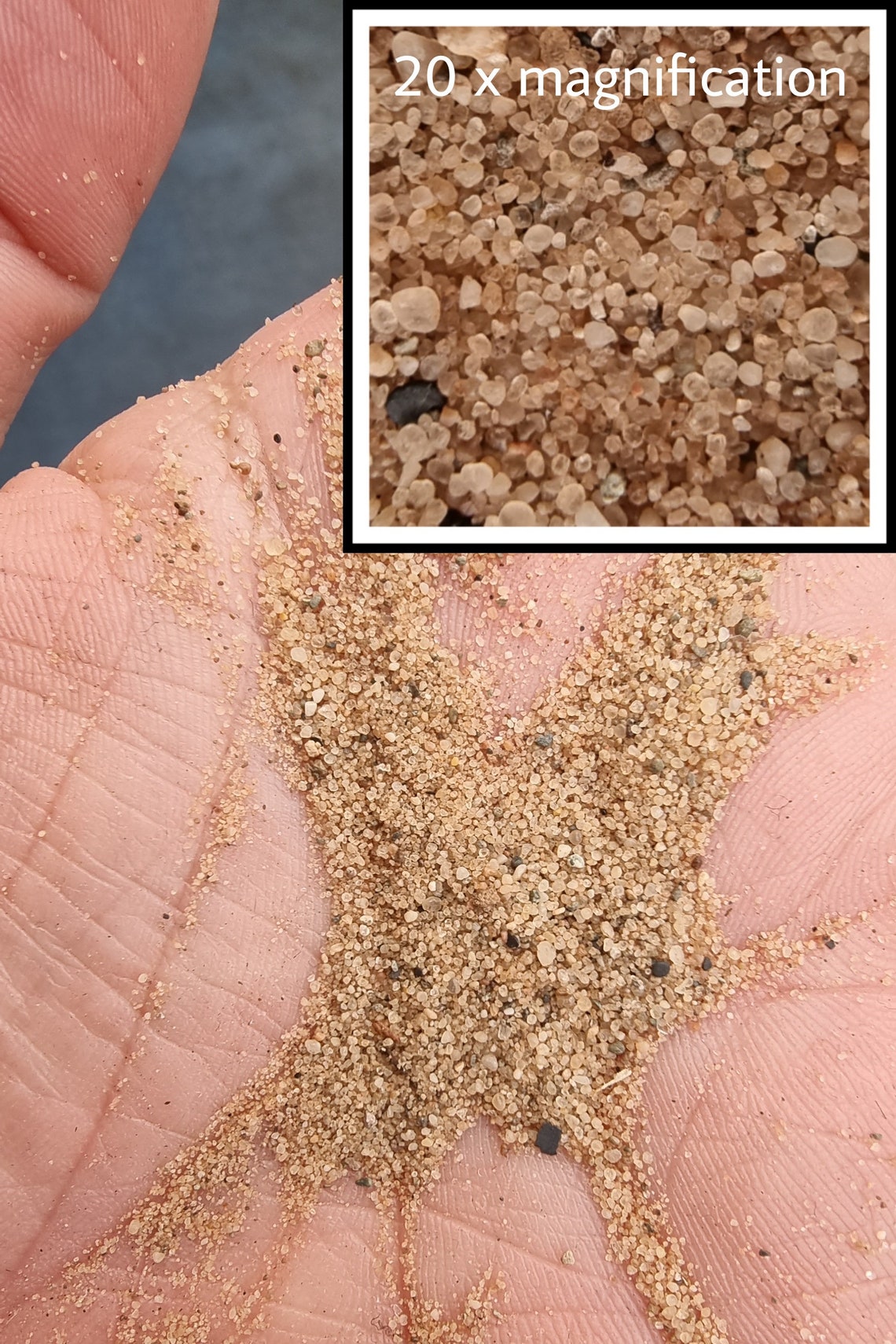 Axolotl Tank Kit Full Aquarium Set up 60cm. Price Includes Delivery! - Etsy