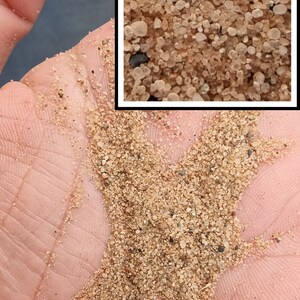 Axolotl Tank Kit Full Aquarium Set up 60cm. Price Includes Delivery! - Etsy