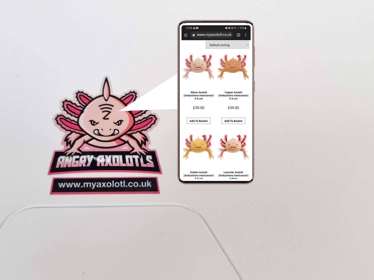 Axolotl Tank Kit Full Aquarium Set up 60cm. Price Includes Delivery! - Etsy