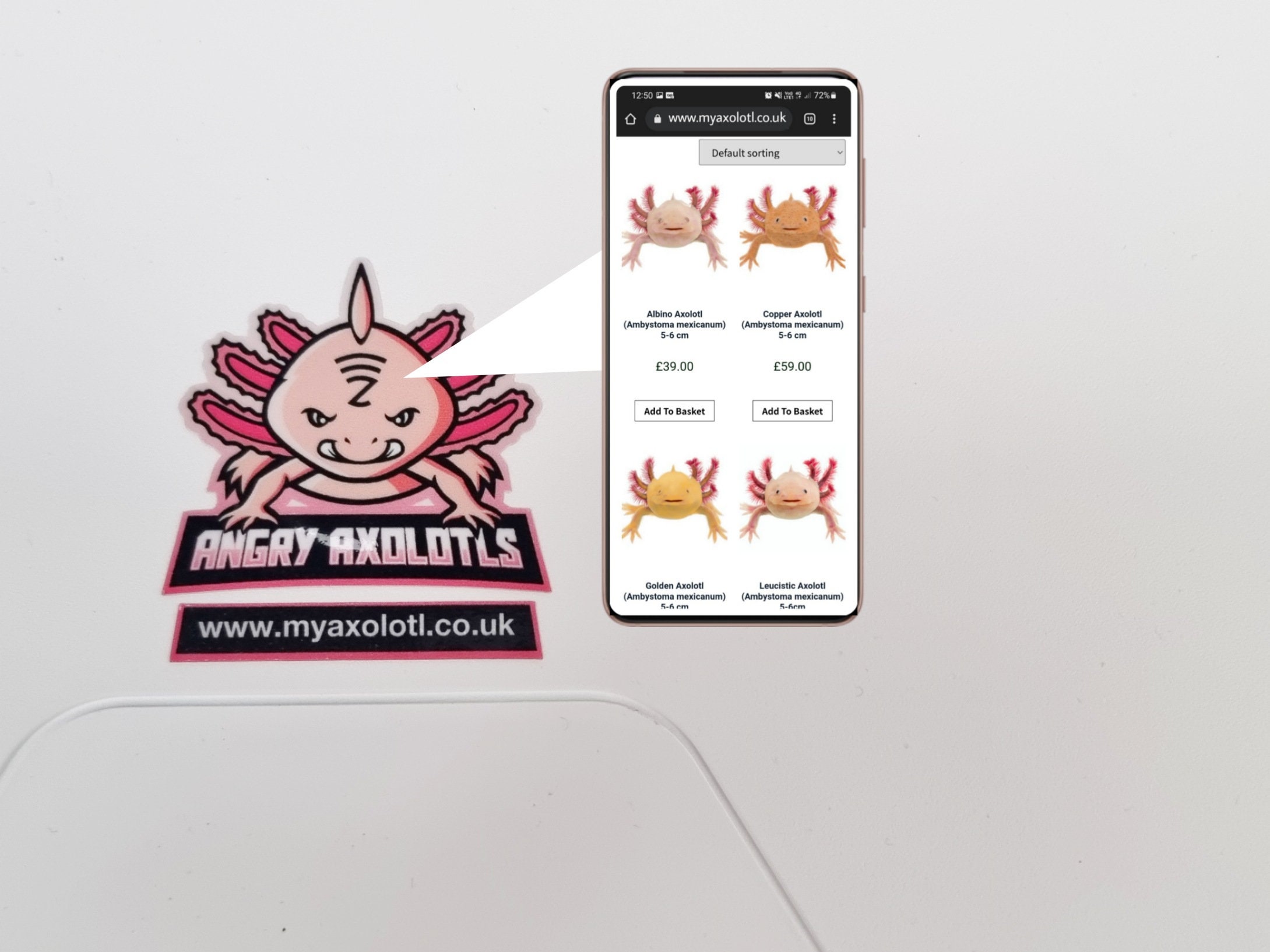 Axolotl Tank Kit Full Aquarium Set up 60cm. Price Includes Delivery! - Etsy