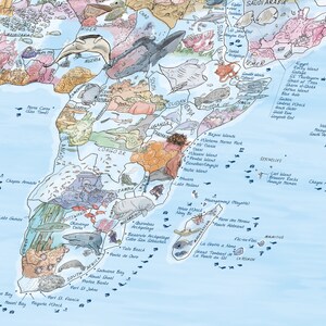 Dive Map - World Map Poster for Divers - Awesome Map Scuba Diving Gift ...