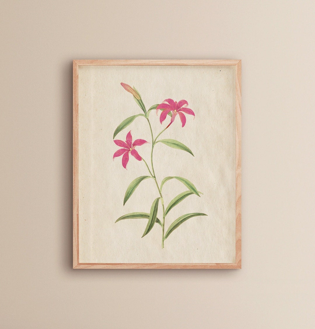 Pink Floral Prints | Vintage Floral Print | Pink Botanical Printable ...