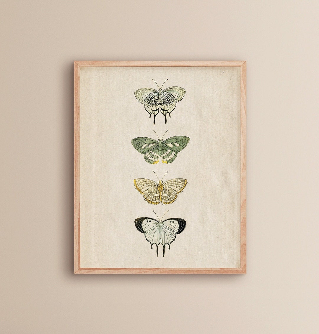 Monarch Butterflies | Vintage Butterfly Wall Art | Nature Painting ...