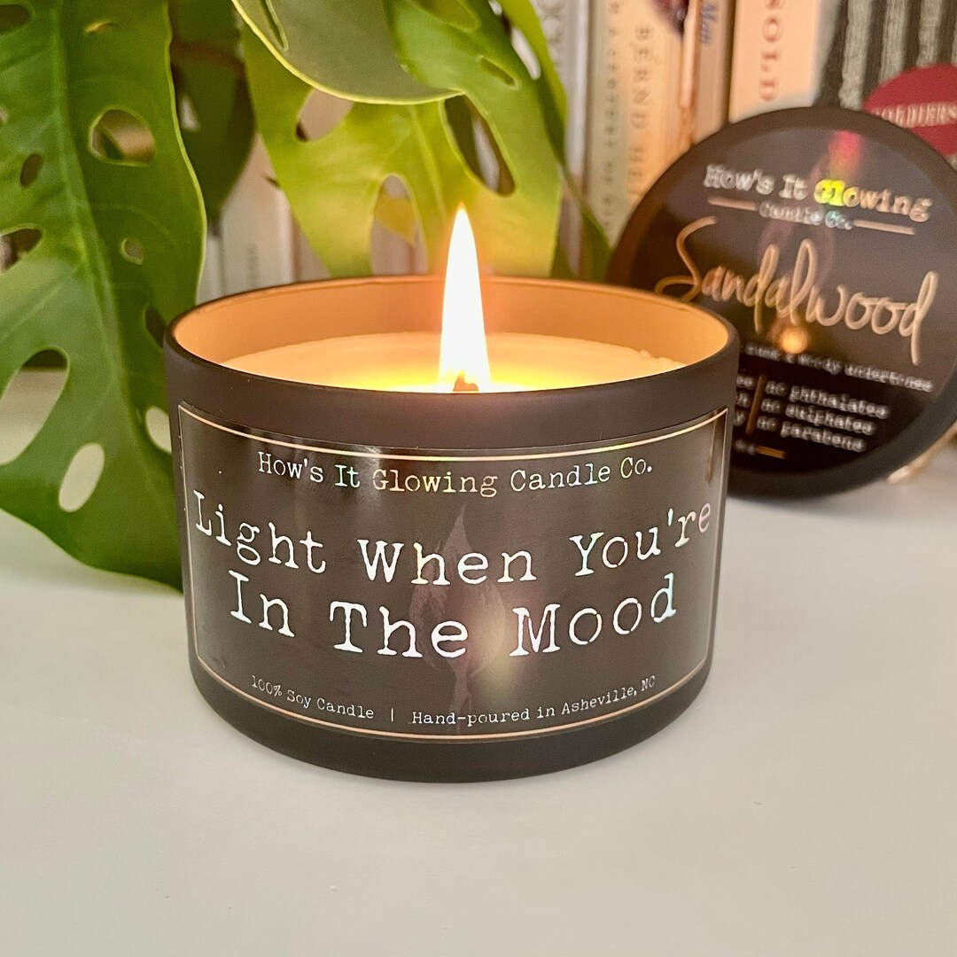 Light When Youre in the Mood 100% Natural Soy Candle Funny Partner Gift ...