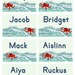 Printable Ocean Classroom Kit for Elementary or Preschool With Number ...