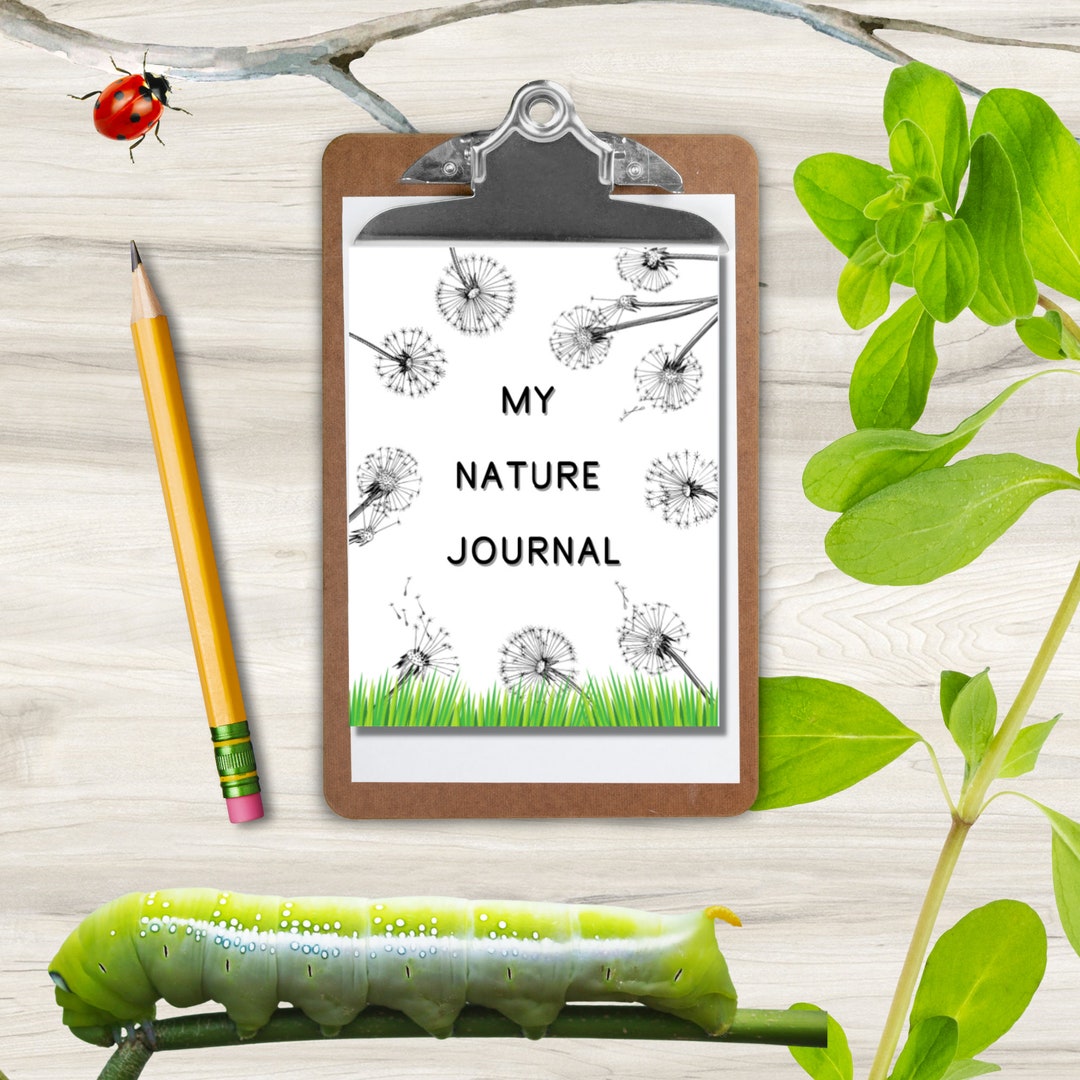 Printable Nature Observation Journal to Get Kids Outside Exploring - Etsy