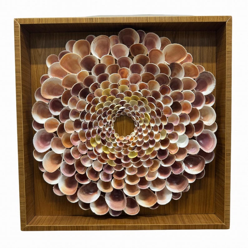 Handmade Custom Seashell Wall Art - Circular Design With Atlantic Giant ...