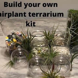 Build-your-own Terrarium Kits you Choose Quantity - Etsy