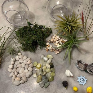 Build-your-own Terrarium Kits you Choose Quantity - Etsy