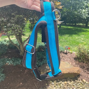 Custom Y-front Dog Harness | Custom Dog Gear, Working Dog, Dog Training ...