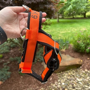 Custom Y-front Dog Harness | Custom Dog Gear, Working Dog, Dog Training ...
