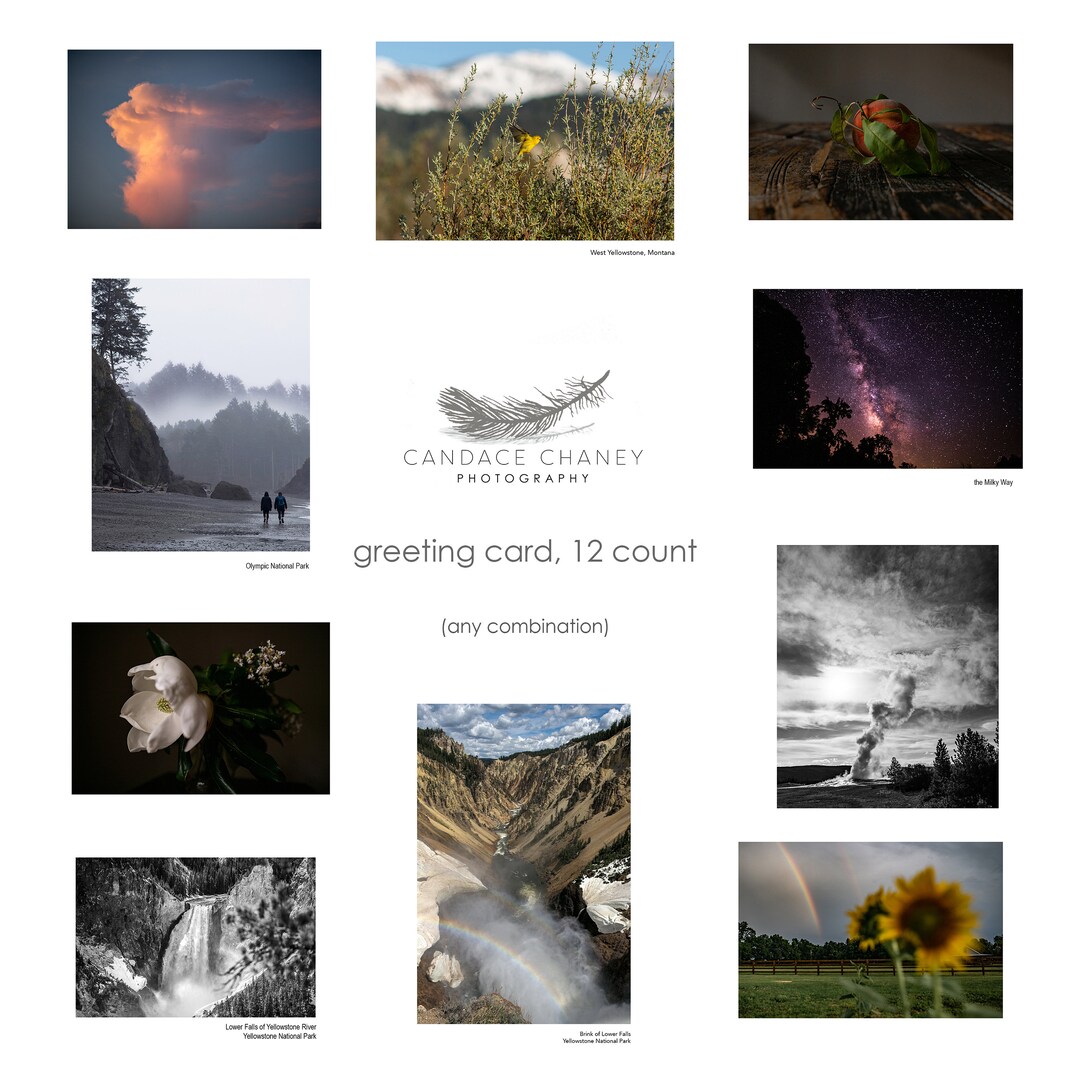 12 Count Candace Chaney Photography Greeting Cards - Etsy