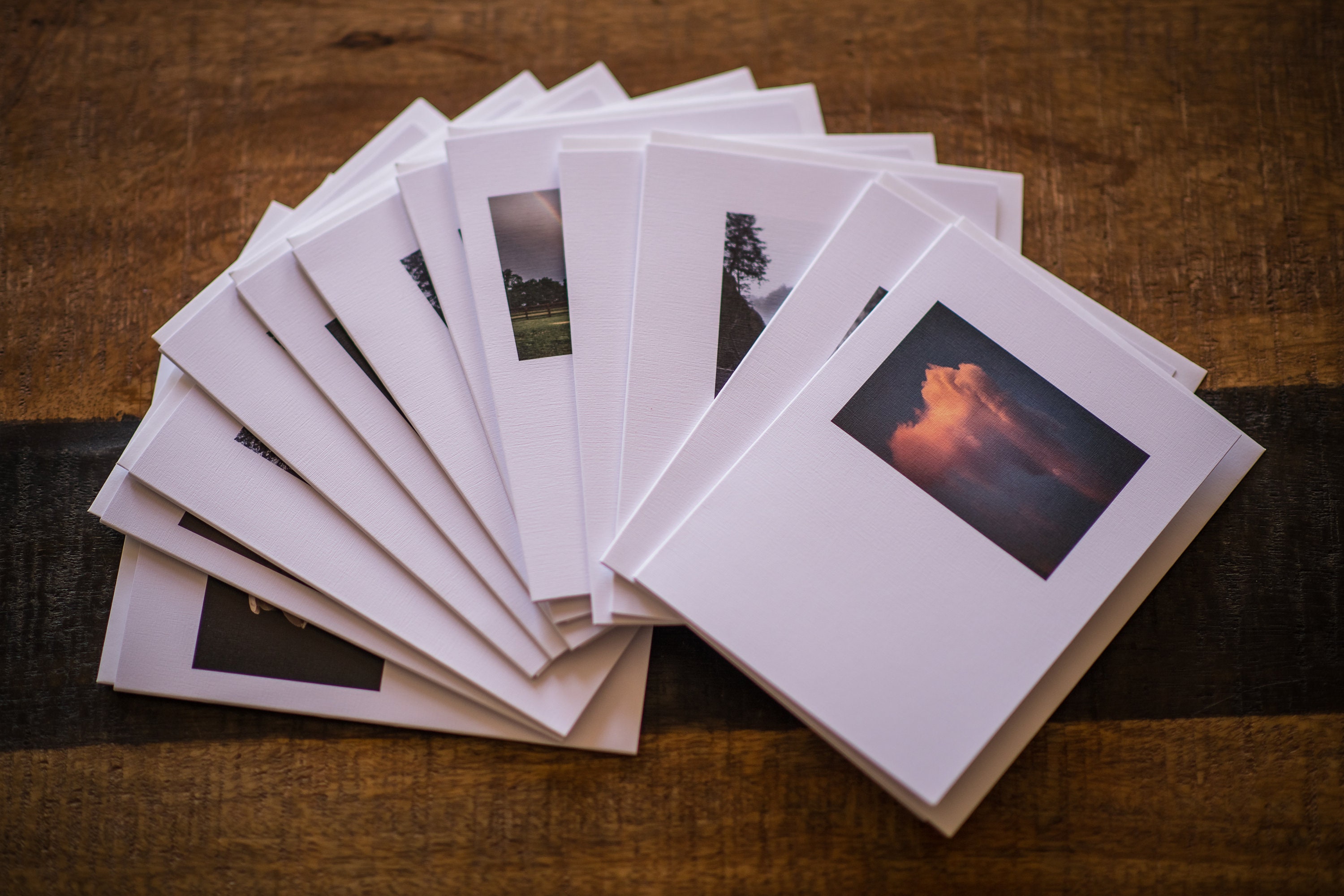 12 Count Candace Chaney Photography Greeting Cards - Etsy