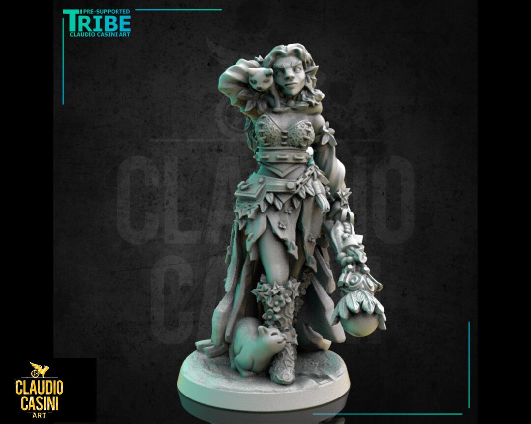 Female Elf Druid With Cats - 28mm or 32mm - Claudio Casini Art ...
