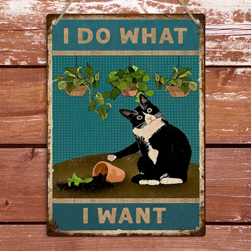 Funny Metal Signs - Etsy