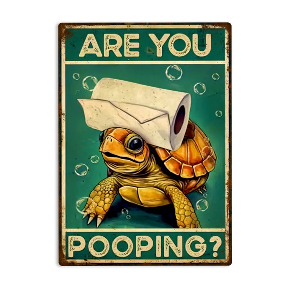 Turtle Poop Memes