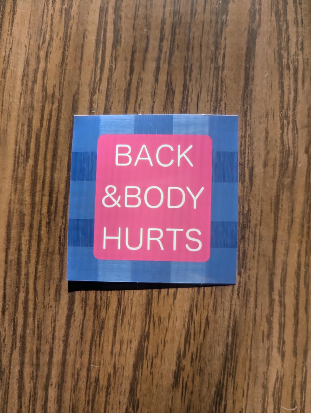 Back and Body Hurts Sticker: Vinyl Planner Journal Decal Chronic Pain ...