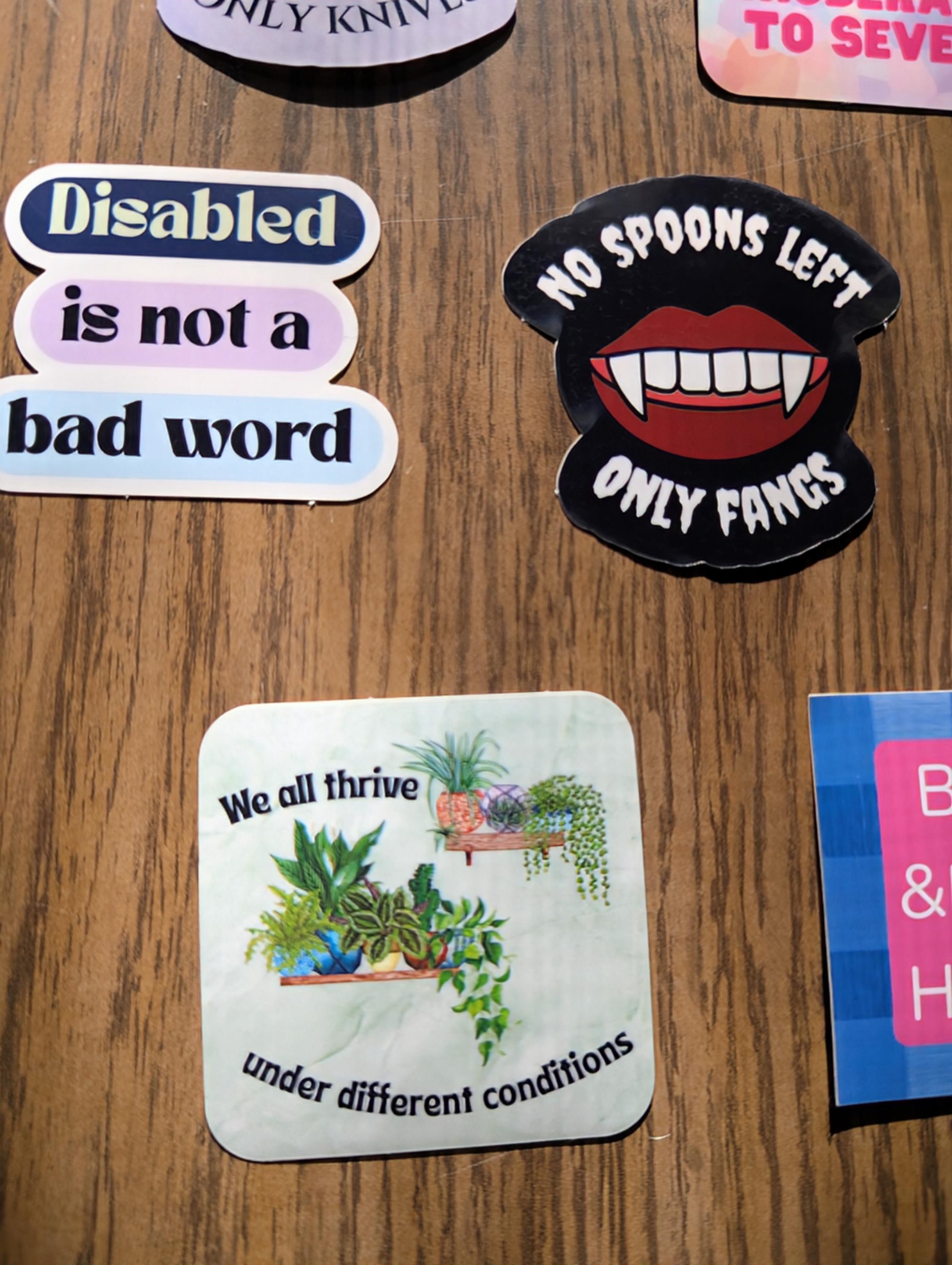 Disability Stickers Pack: Vinyl Decal Bundle Self-care Affirmations ...