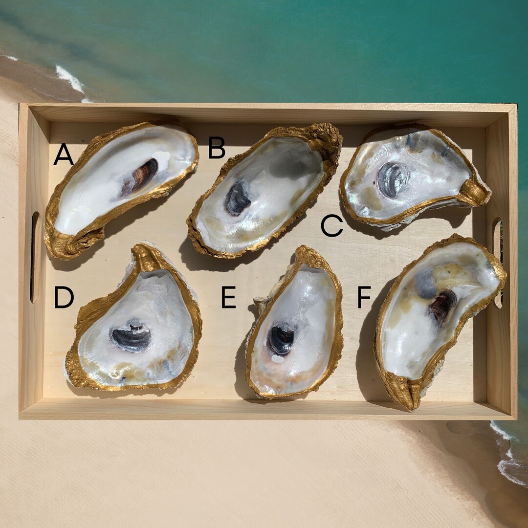 Gold Rimmed Oyster Shell Jewelry Dish - Etsy