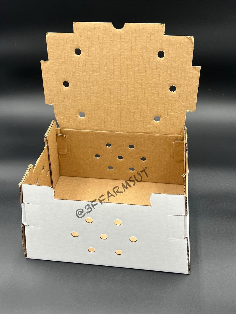 Chick or Poultry Shipping Boxes (5 Count) - Etsy