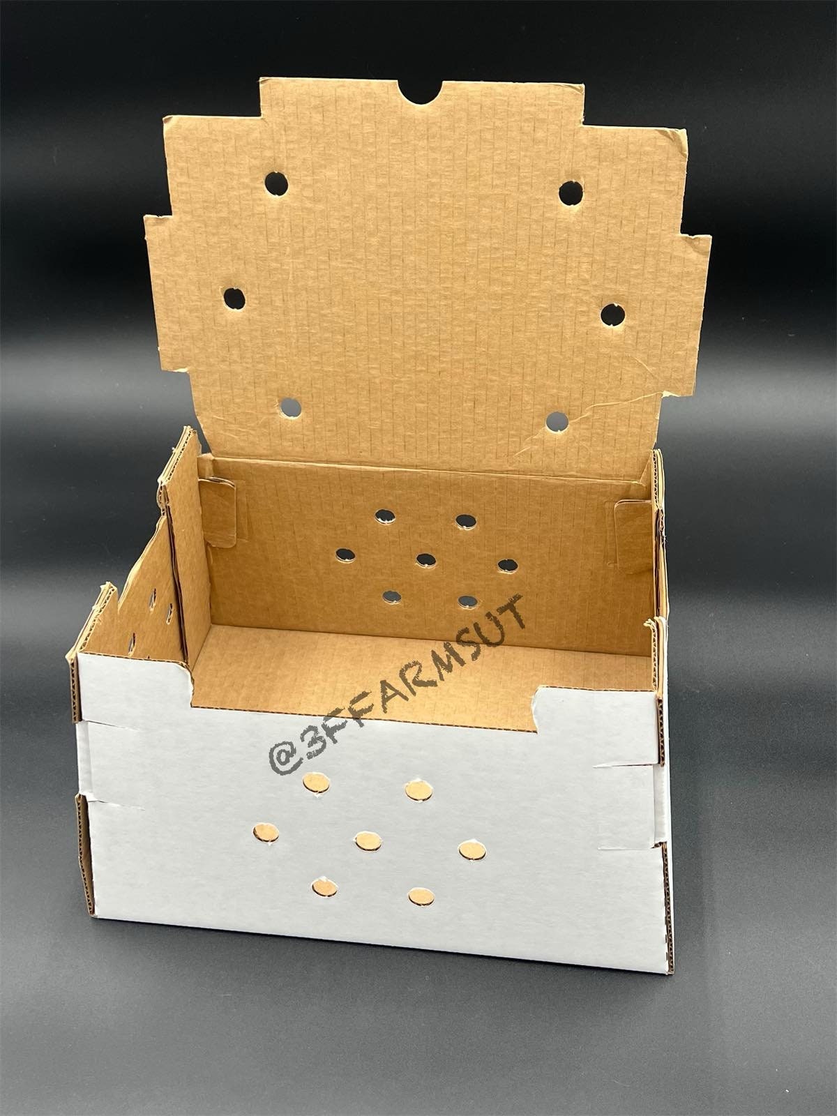 Chick or Poultry Shipping Boxes (5 Count) - Etsy