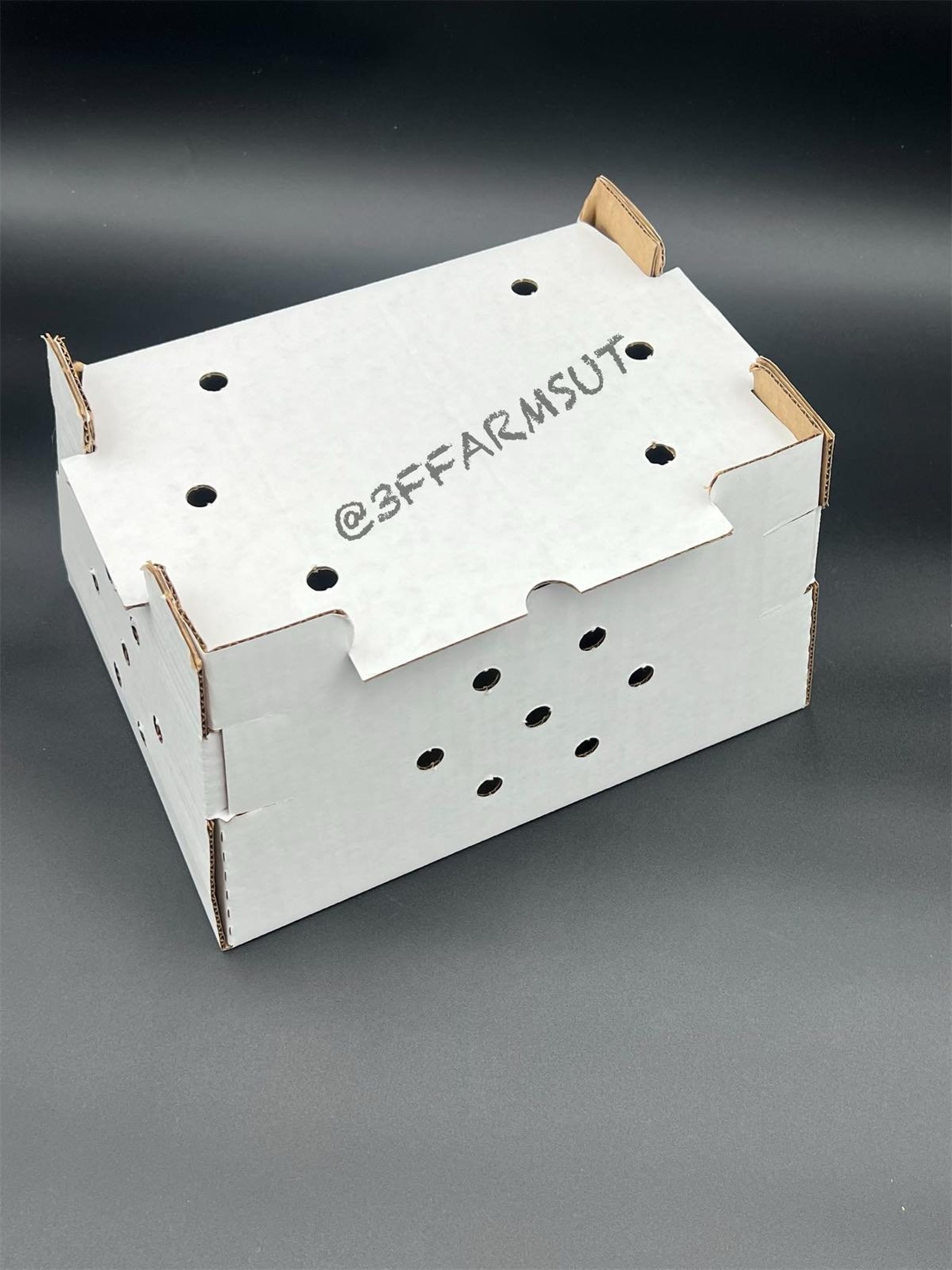 Chick or Poultry Shipping Boxes (5 Count) - Etsy
