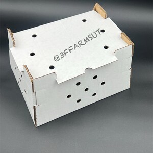 Chick or Poultry Shipping Boxes (5 Count) - Etsy