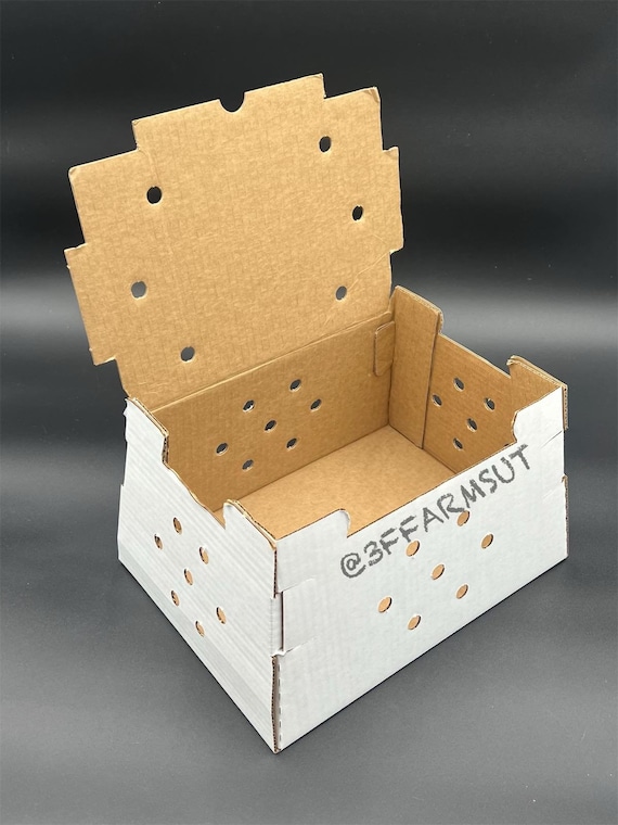 Cardboard Chick Boxes