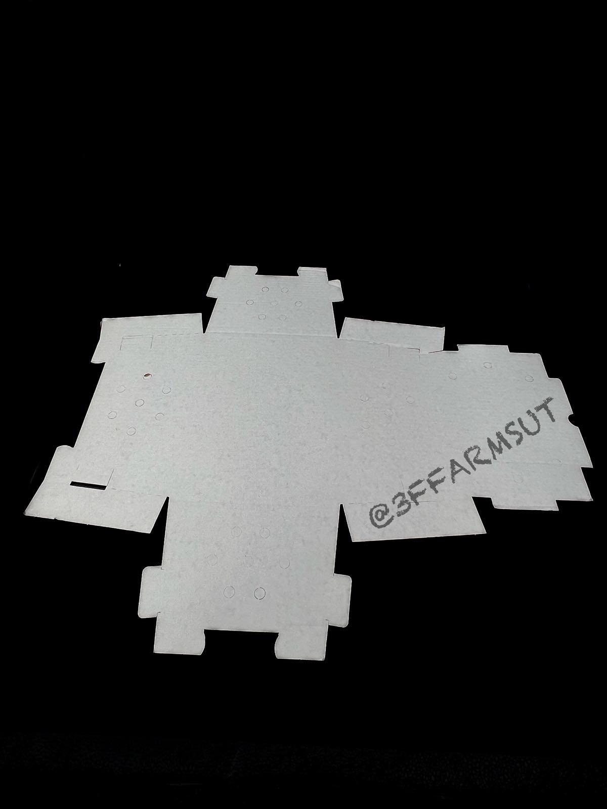 Chick or Poultry Shipping Boxes (5 Count) - Etsy