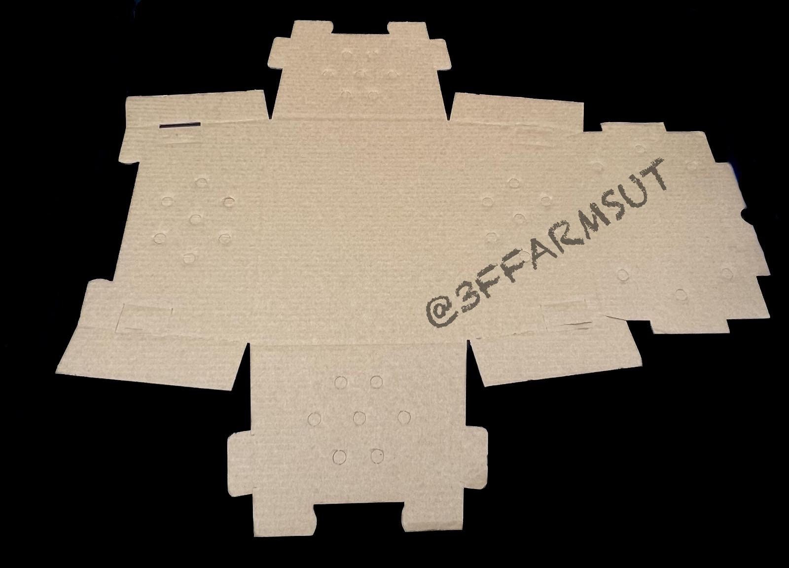 Chick or Poultry Shipping Boxes (5 Count) - Etsy