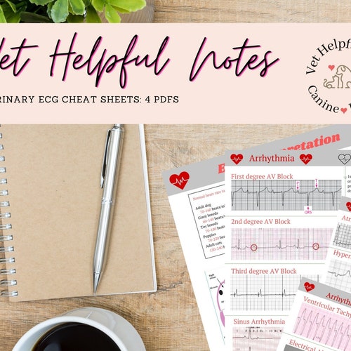 Vet Med ECG Cheat Sheets Vet Nurse ECG Guide Vet Tech ECG - Etsy