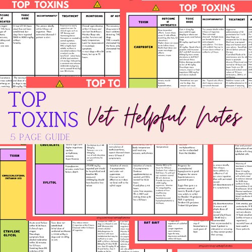 Top Toxins Vet Med Notes for Vet Techs Vet Nurses Vet - Etsy