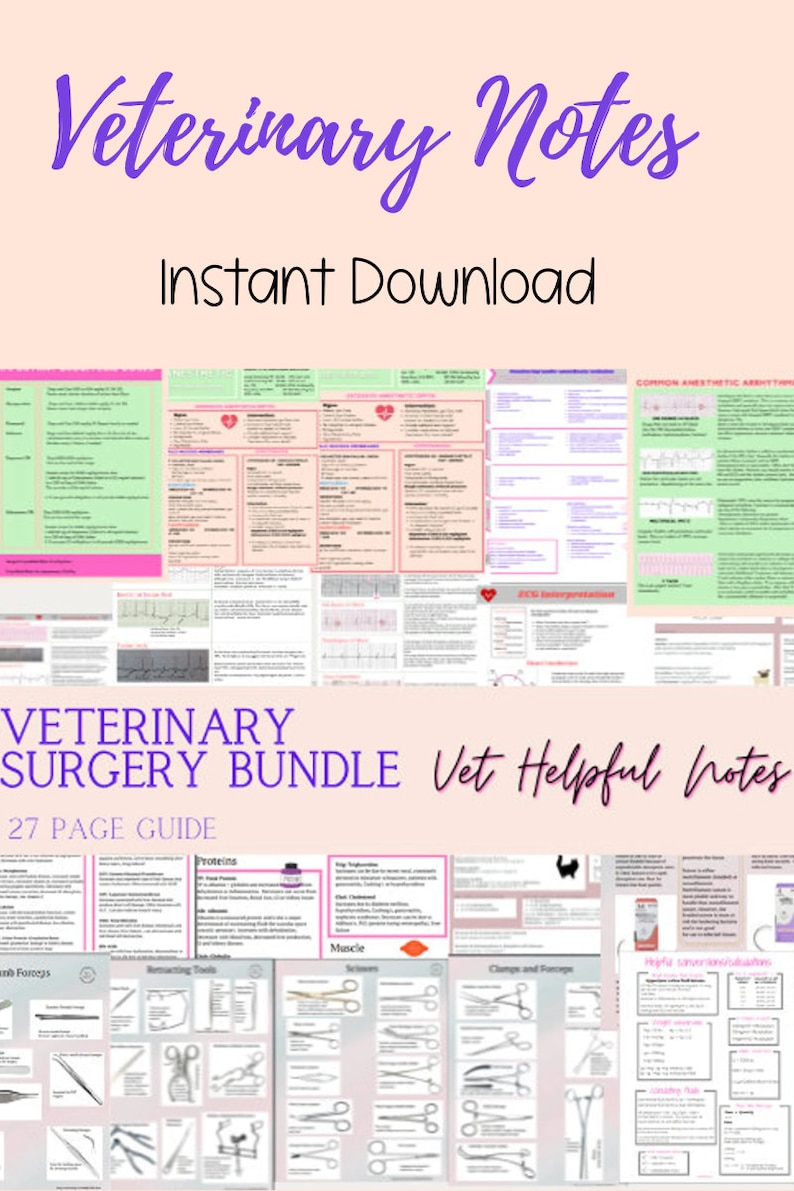 Veterinary Surgery Bundle Vet Tech Notes VTNE Prep - Etsy