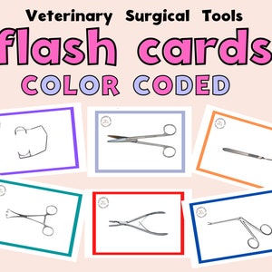 Vet Flash Cards Surgery Veterinary Flashcards Surgical Instruments Vet ...