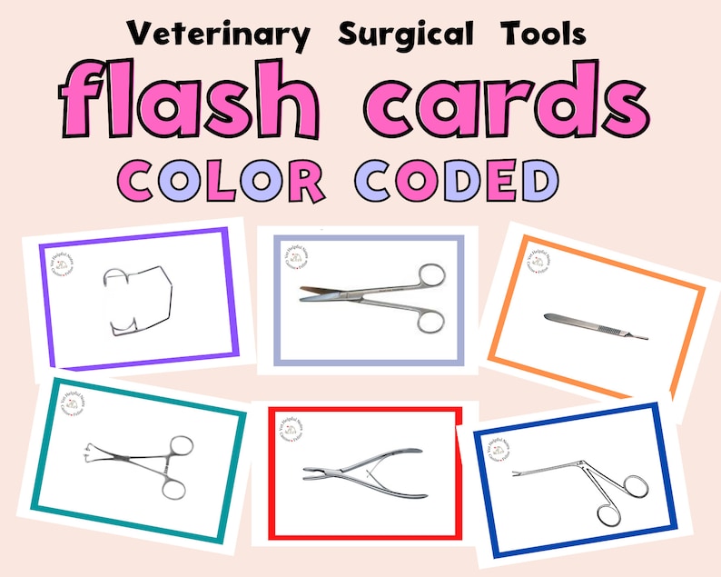 Vet Flash Cards Surgery Veterinary Flashcards Surgical - Etsy