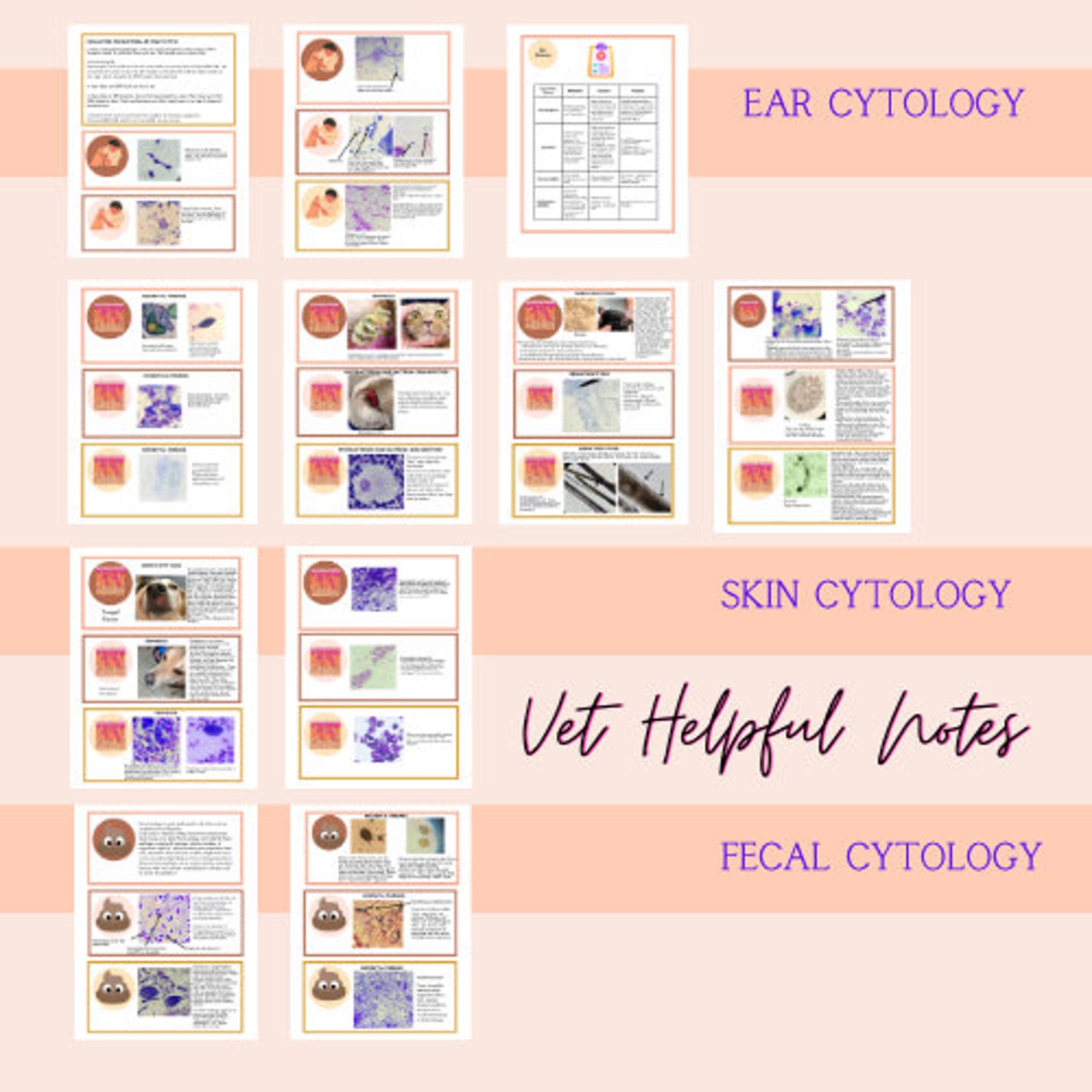 Vet Tech Skin and Ear Cytology Notes Vet Tech and Vet Nurse - Etsy